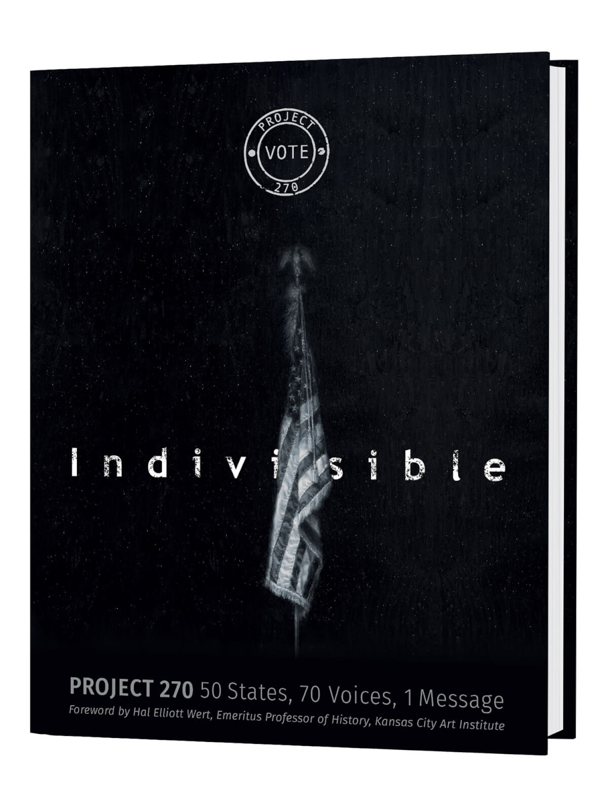 Project 270 Book - Mana Public Arts